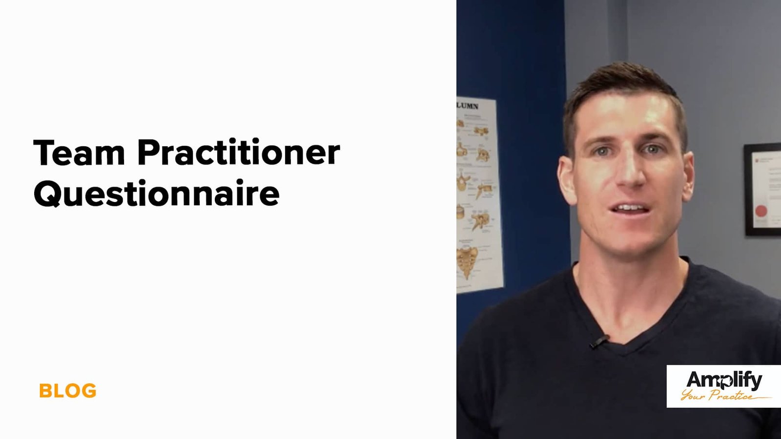 Team Practitioner Questionnaire - Amplify Your Practice